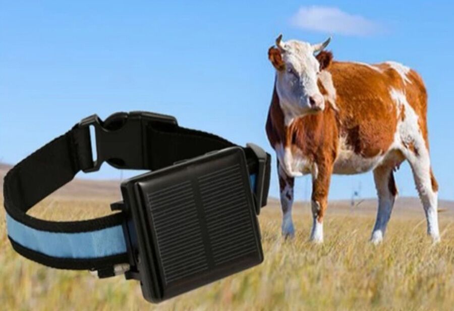 Livestock Tracking - FTS Management